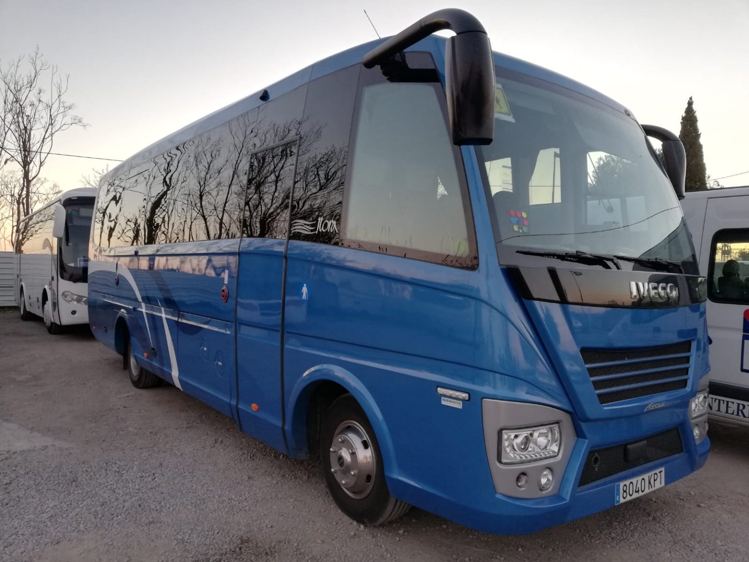 Transporte escolar | Alquiler de autobuses para colegios Valencia
